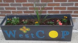 | Helping people; Changing lives